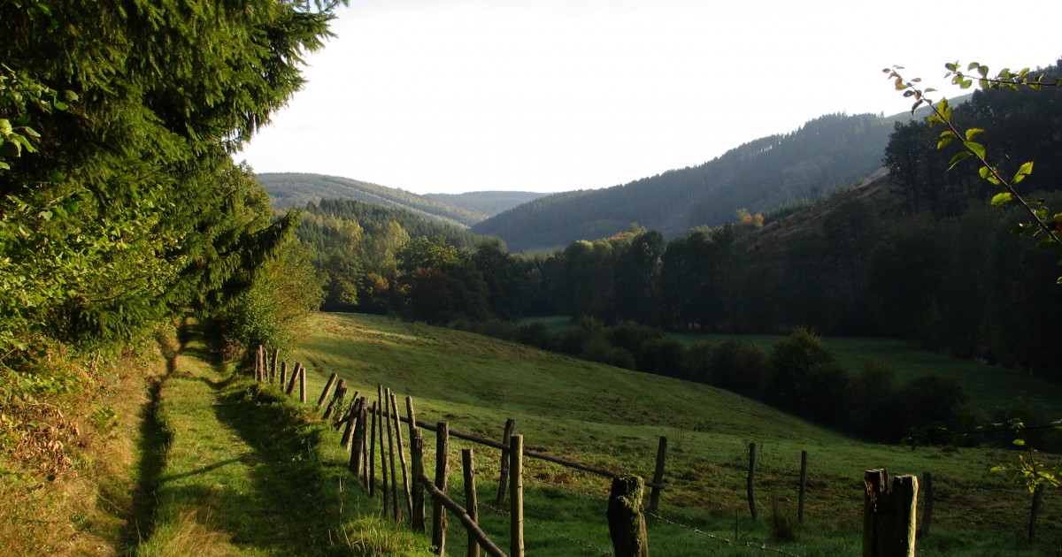 Les alentours | Le Baron